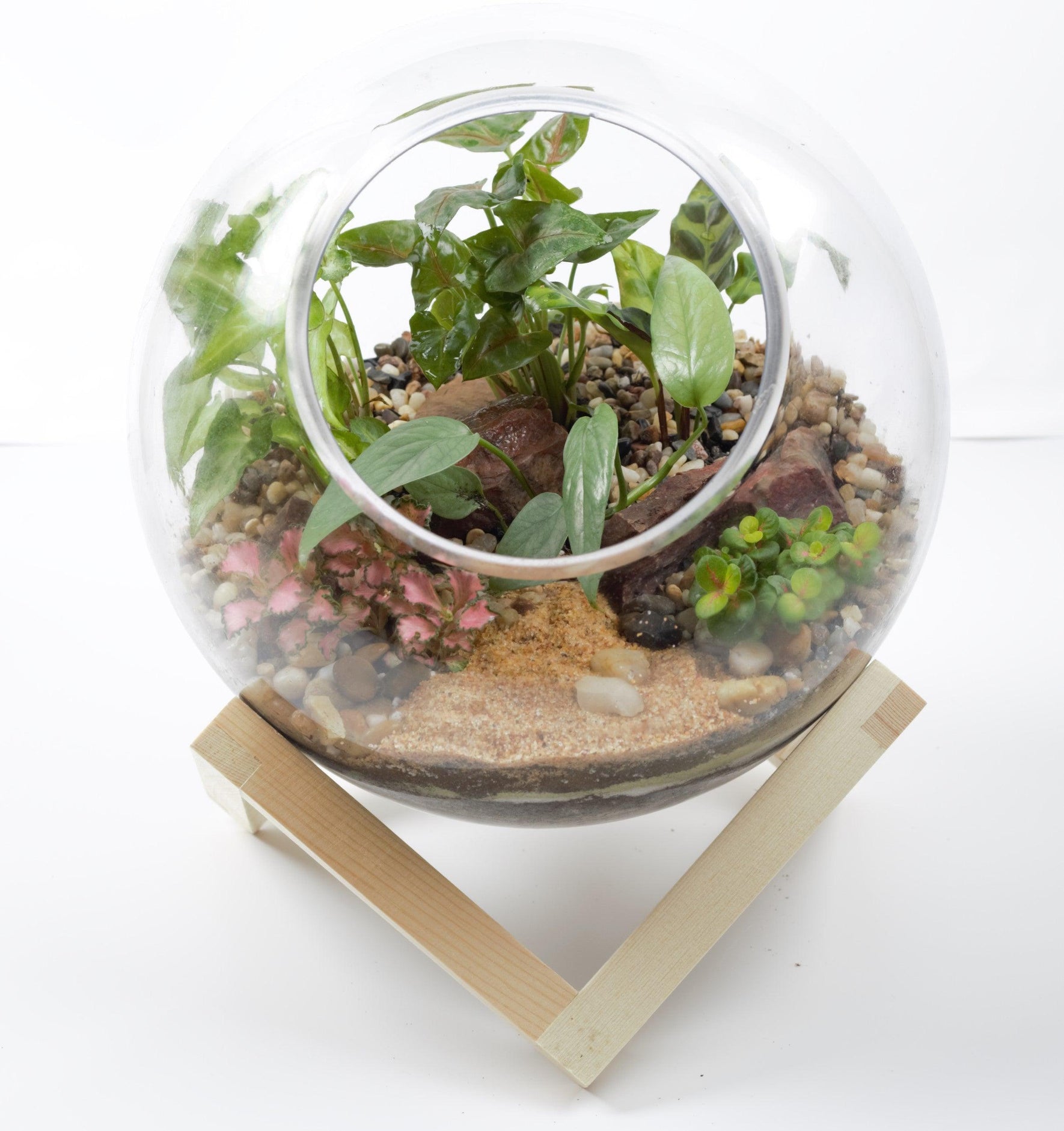 Terrariums Australia – Kits, Glass Vessels & Decor – Plant Homewares