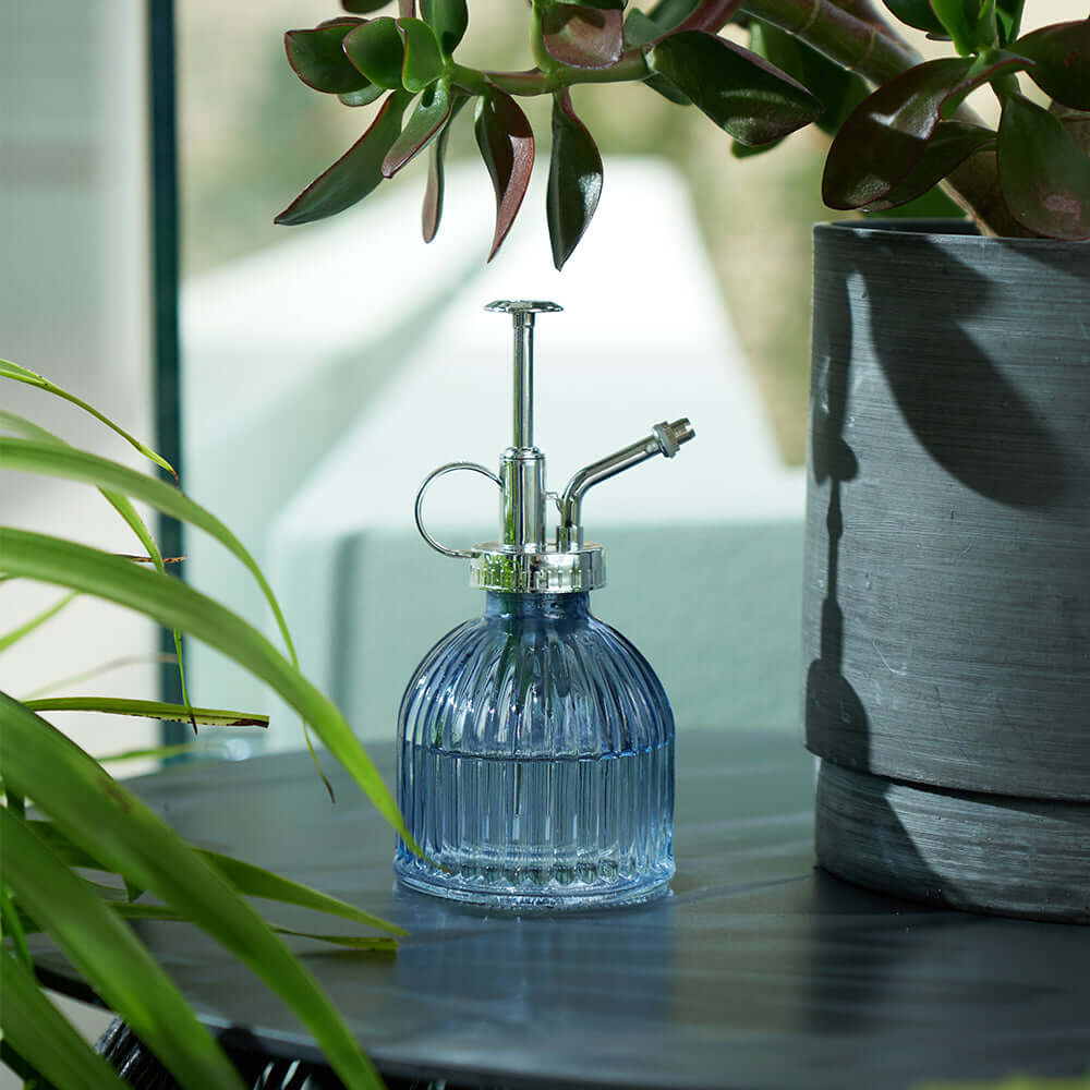 Tackling Top 10 Issues People Face with Their Indoor Plants - Plant ...